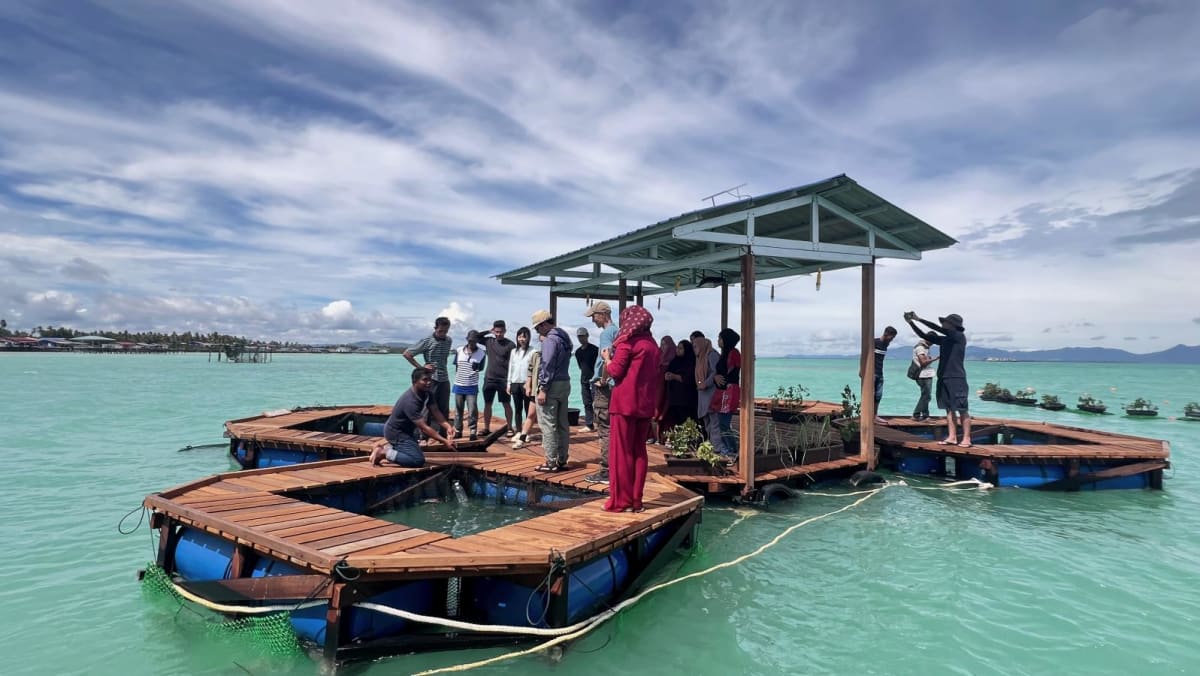 Growing Wild - Project Castaway: Floating Farm Ahoy! - CNA