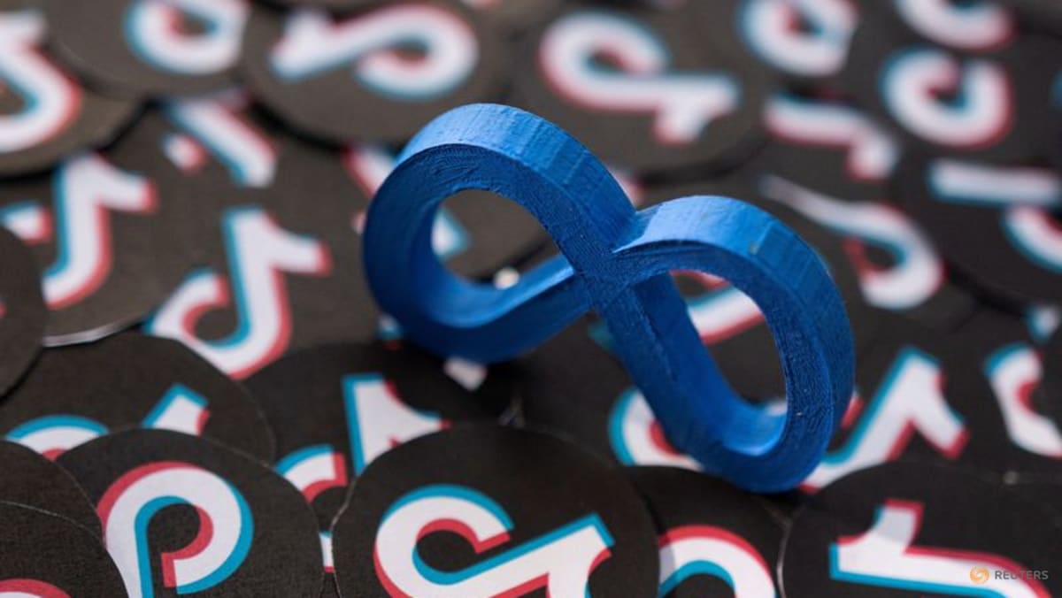 Meta, TikTok win challenge against EU tech fees, forcing regulators to ...