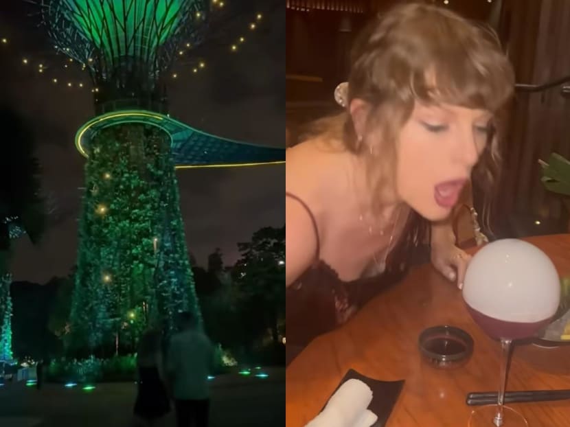 Taylor Swift shows off trips to Singapore's Gardens by the Bay and Koma ...