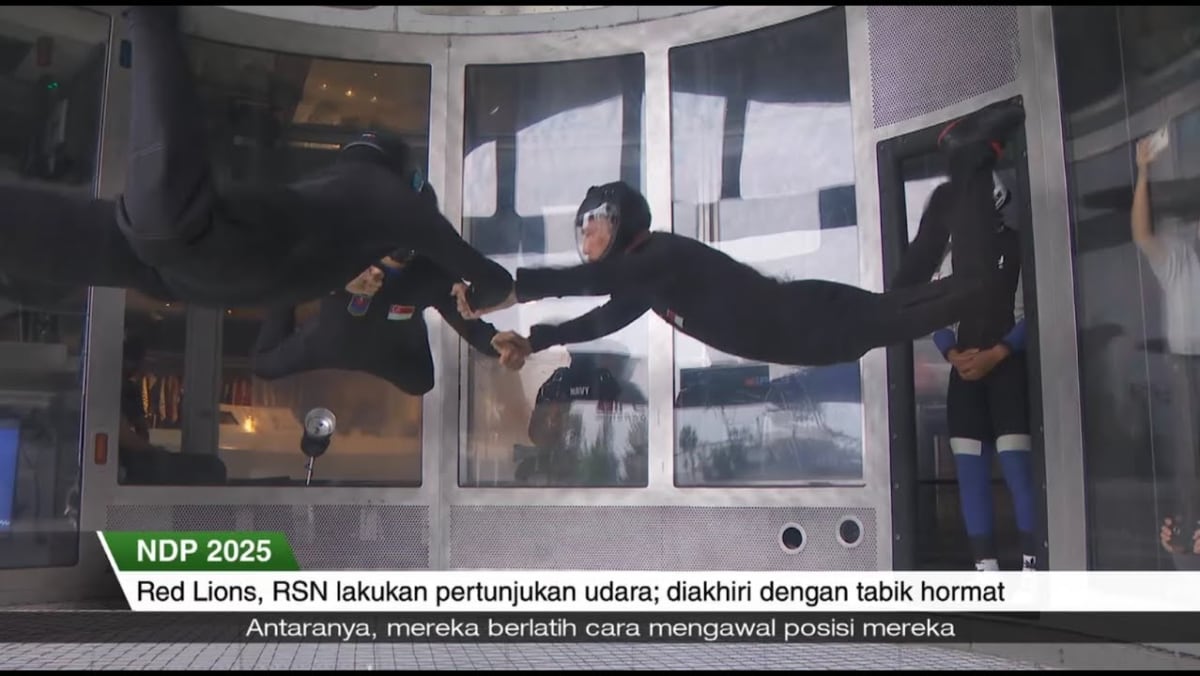 NDP 2025 – Red Lions dan pasukan penyelam RSN bergabung tenaga jayakan acara terjun payung ...