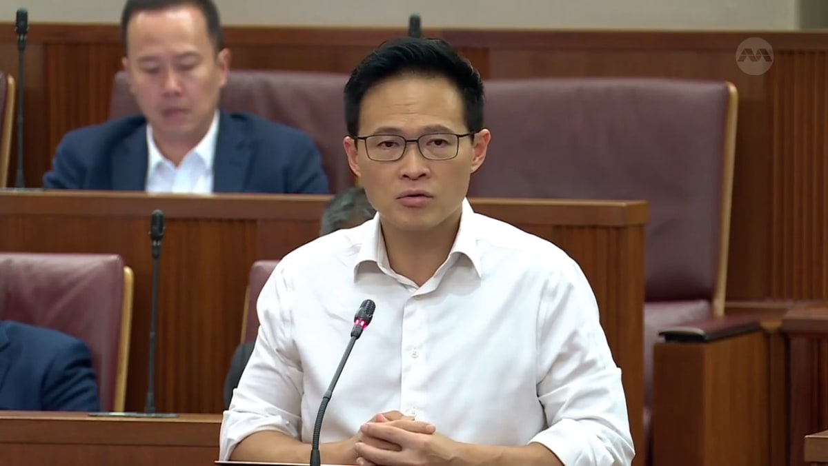 Desmond Choo on Law Enforcement and Other Matters Bill - CNA