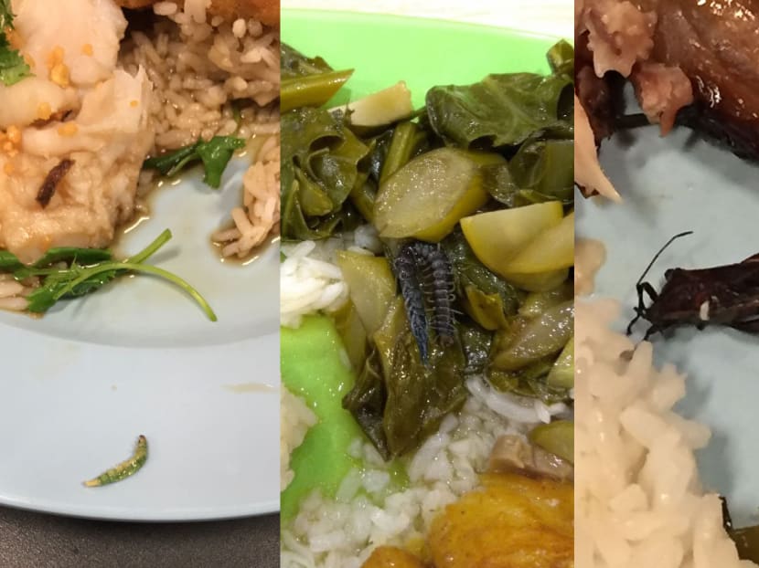 Several cases of food poisoning, hygiene lapses at NUS residences in ...