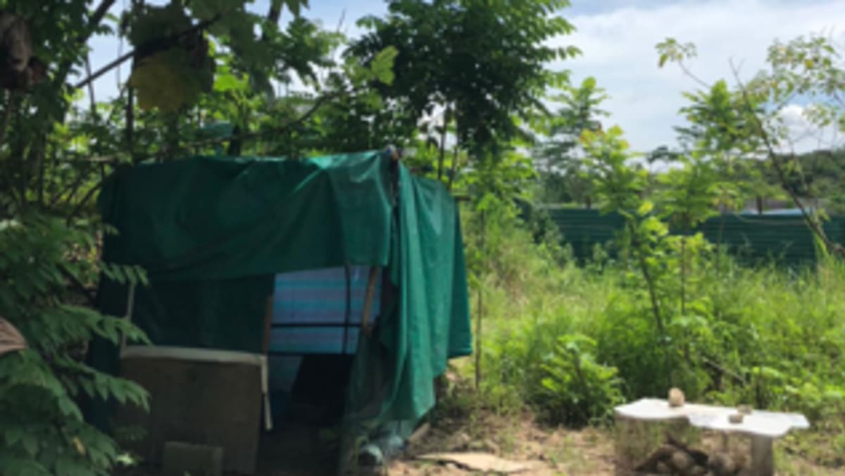 3 tahun berbumbungkan kanvas, Aidilfitri 2020 'Tok Adi' beraya di rumah ...