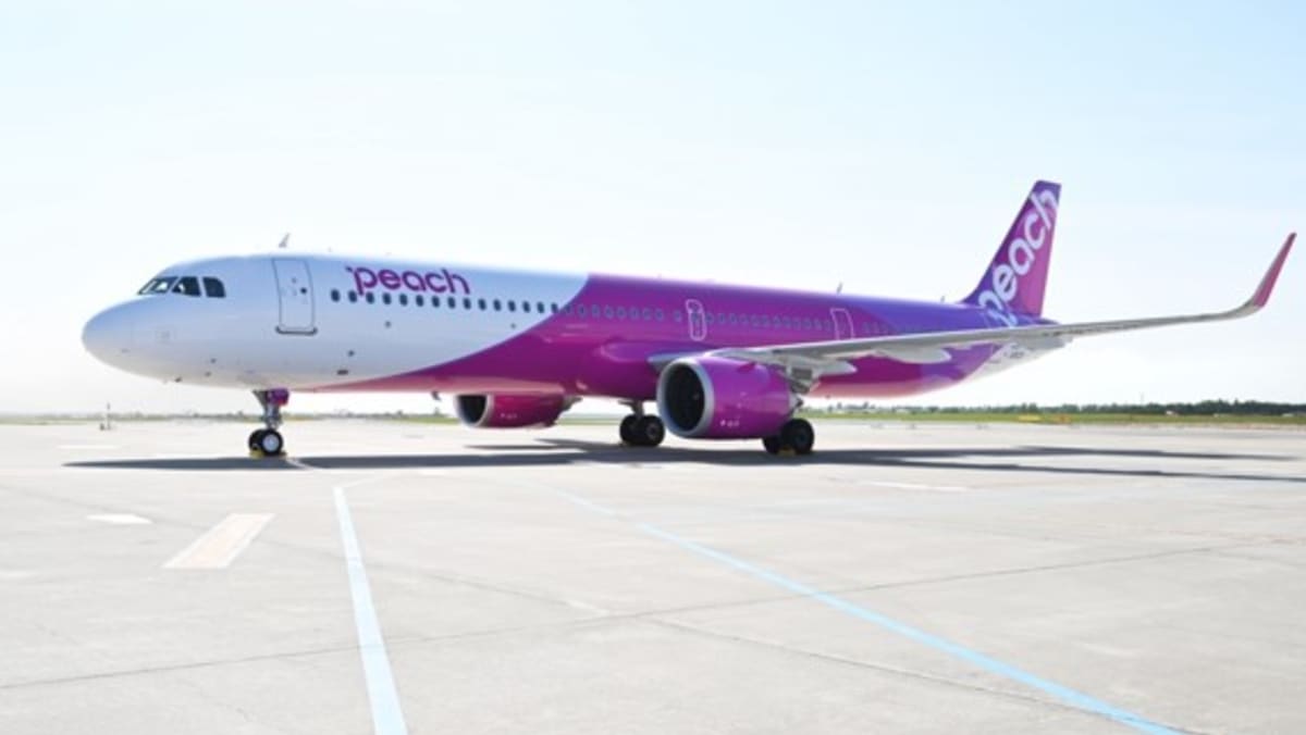 Japanese budget airline Peach Aviation launches new daily direct Singapore-Osaka flights from ...