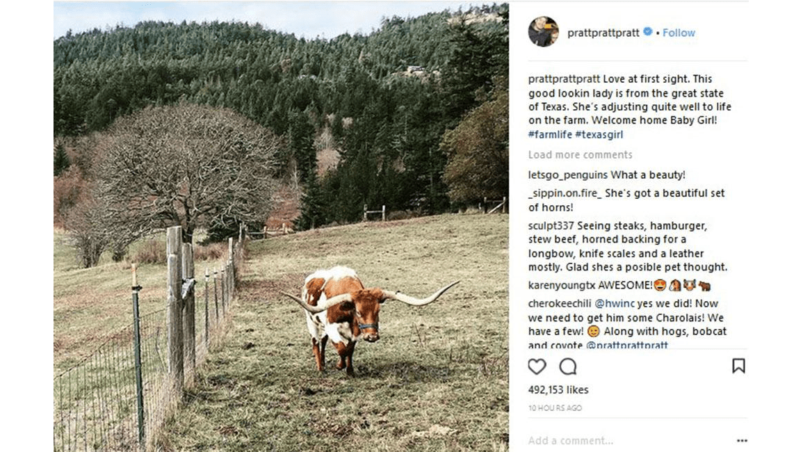 Chris Pratt buys a new cow - 8days