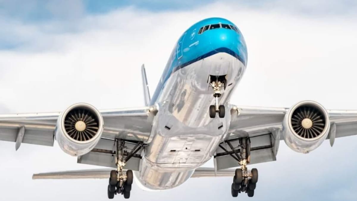 விமானத்தின் இயந்திரத்தில் சிக்கிய ஆடவர் மாண்டார் - Seithi Mediacorp