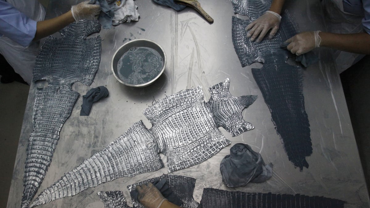 Singapore tanneries: Africa’s largest market for reptile skins in Asia ...