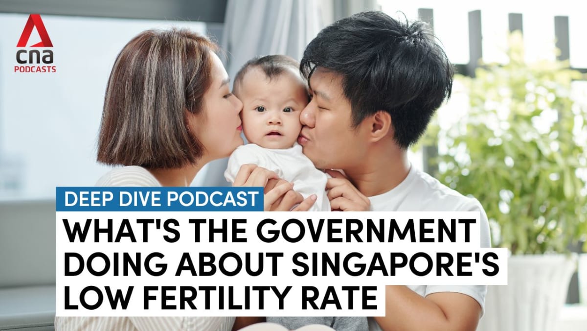 Deep Dive - Government is determined to work on Singapore's low ...