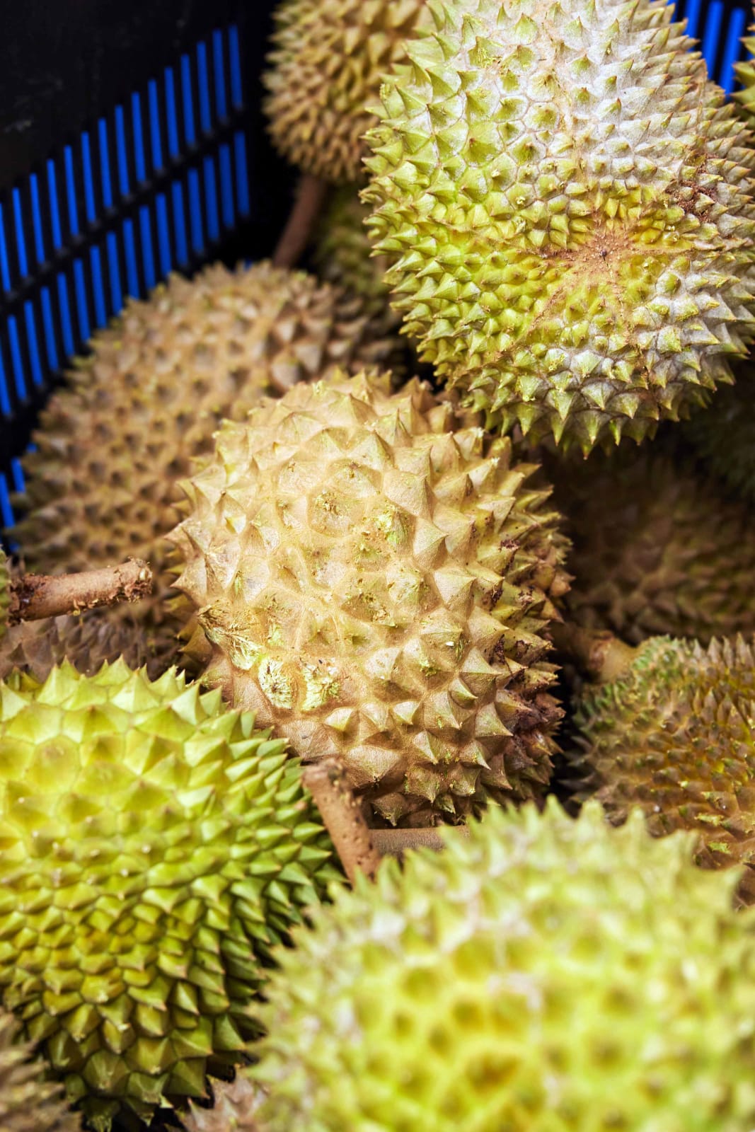 Grounded Airline Pilot Turned Durian Seller Looks Like Taiwanese Star ...