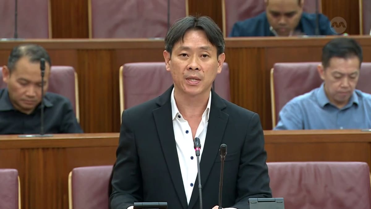 Louis Ng on Law Enforcement and Other Matters Bill - CNA