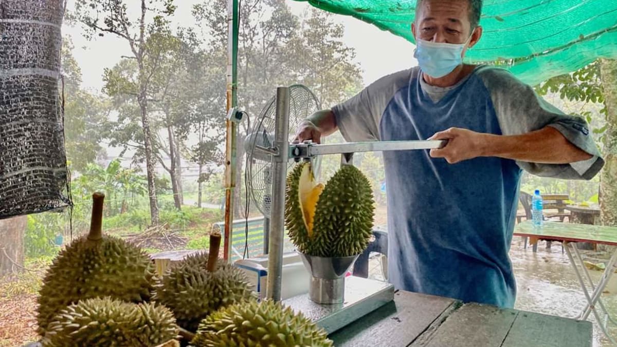 Penggemar durian boleh nikmati lebih 30 jenis raja buah, langsung dari ...