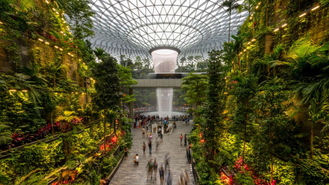 星耀樟宜客流量创新高，2025年更精彩！Queic by Olivia、Bookmagol、Palladium等人气品牌将入驻，adidas新 ...