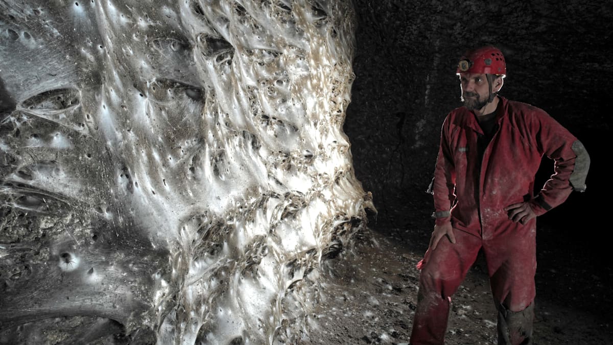 110,000 சிலந்திகள் வாழும் ஆகப் பெரிய வலை - Seithi Mediacorp