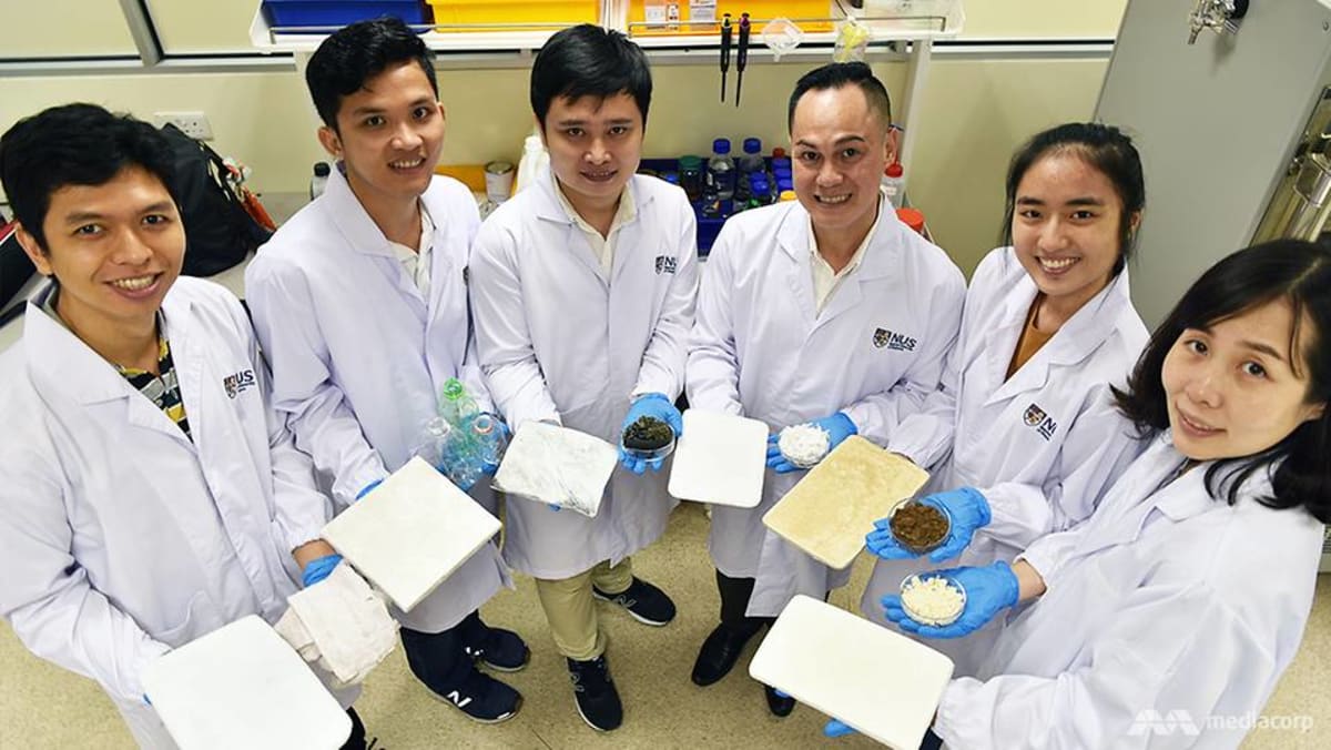 A made-in-Singapore solution to the world's plastic waste problem - CNA