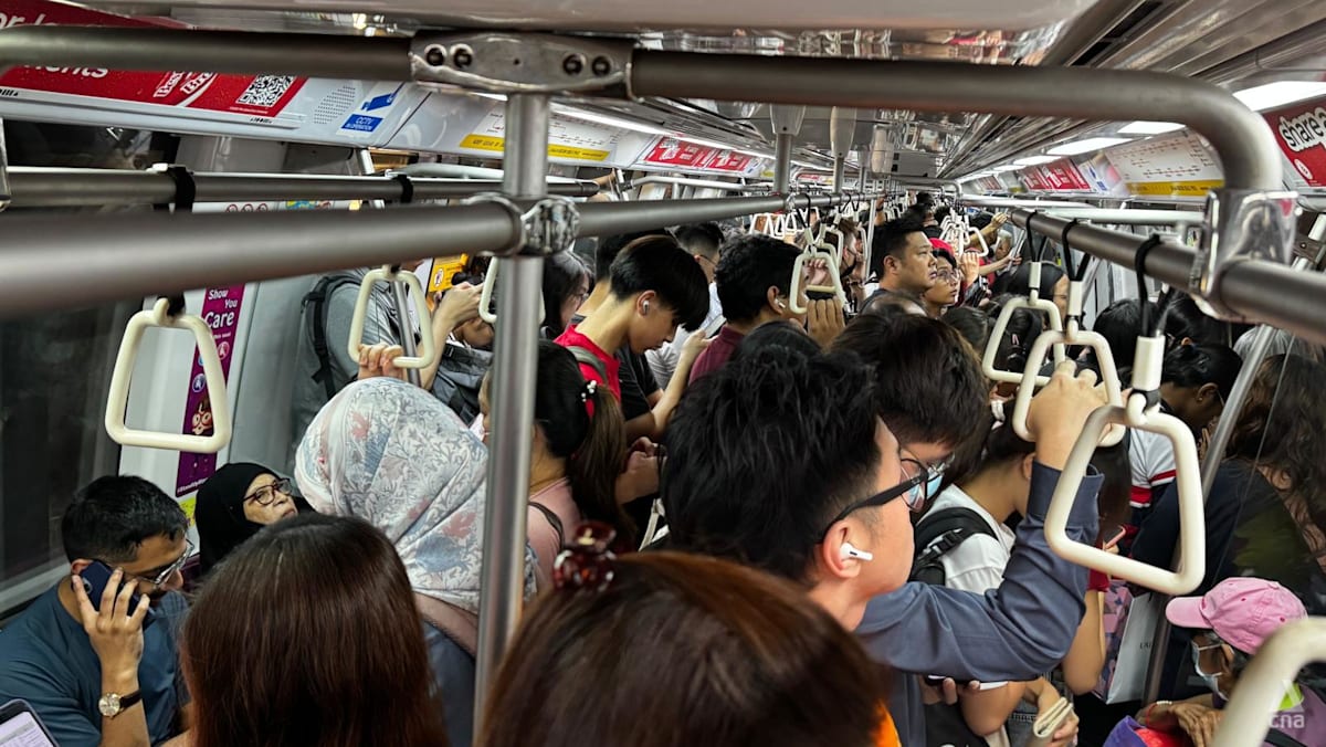 Train fault on Circle Line causes rush-hour delay to MRT services - CNA