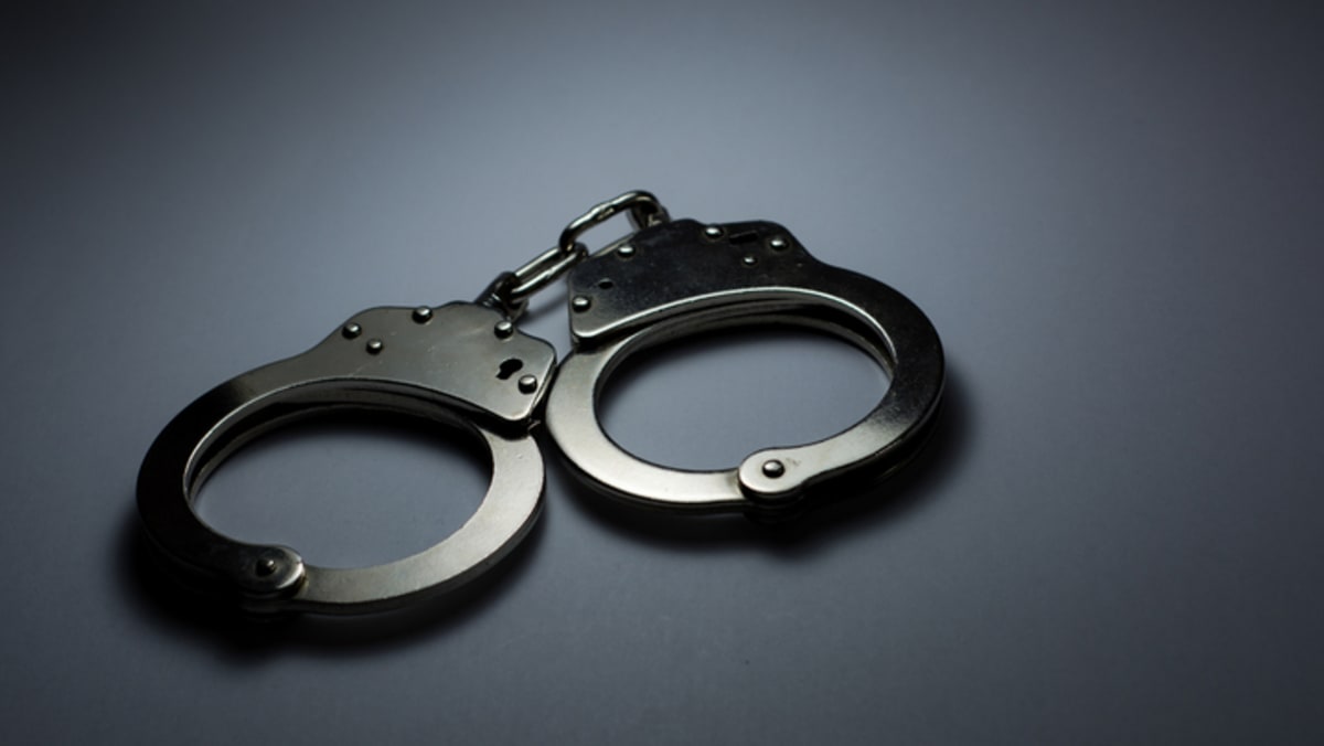 CNB says internal probe finds teen who took life after facing drug ...