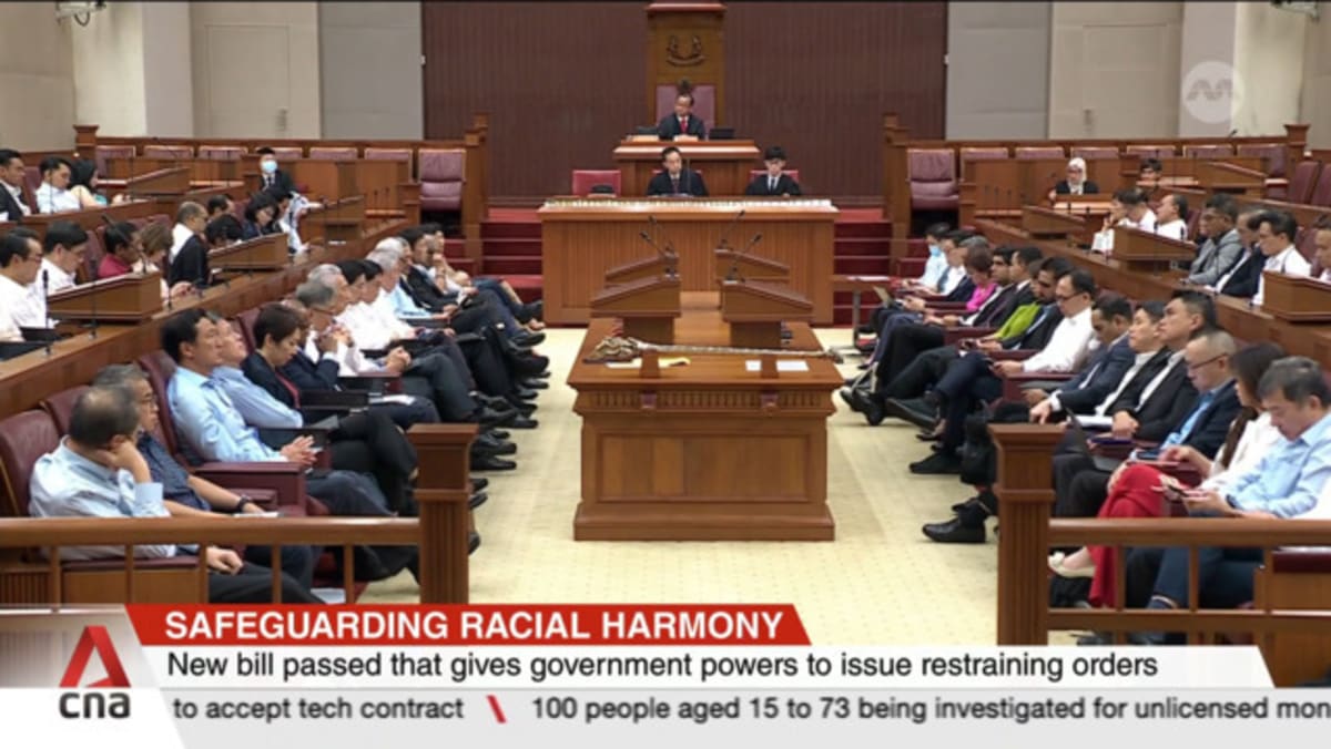 Parliament debates president's powers in new Maintenance of Racial ...