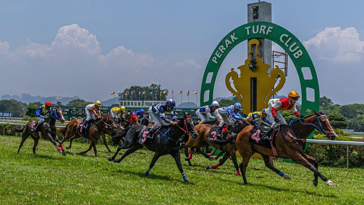 Selangor, Perak turf clubs fight for horse racing’s future in Malaysia ...