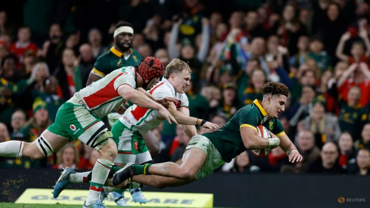 Springboks extend Wales's record losing run with 45-12 victory - CNA