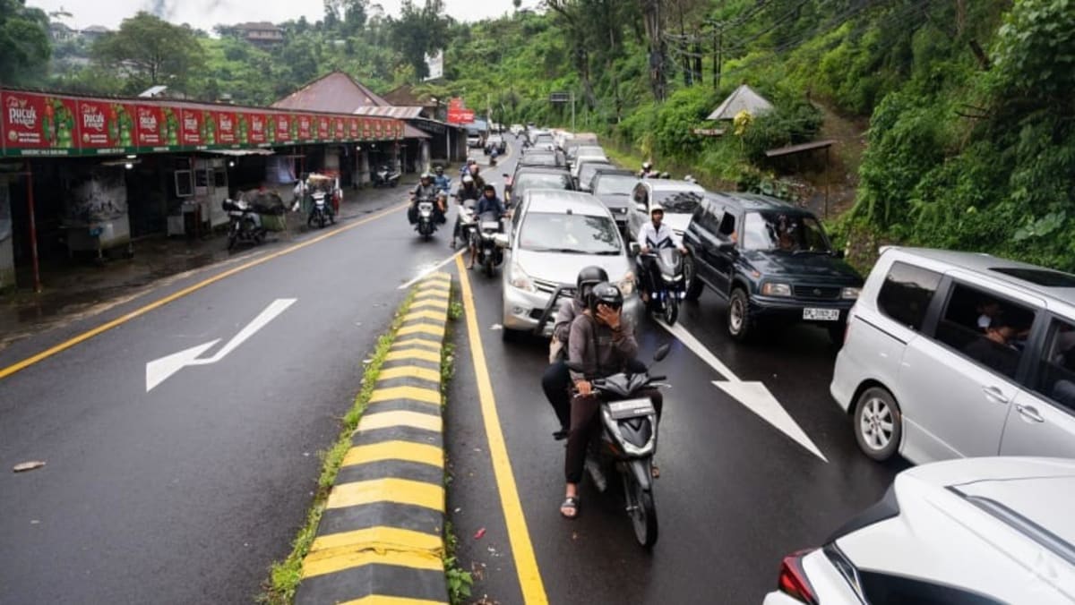 பாலியில் மின்சார விநியோகம் வழக்கநிலைக்குத் திரும்பியது - Seithi Mediacorp