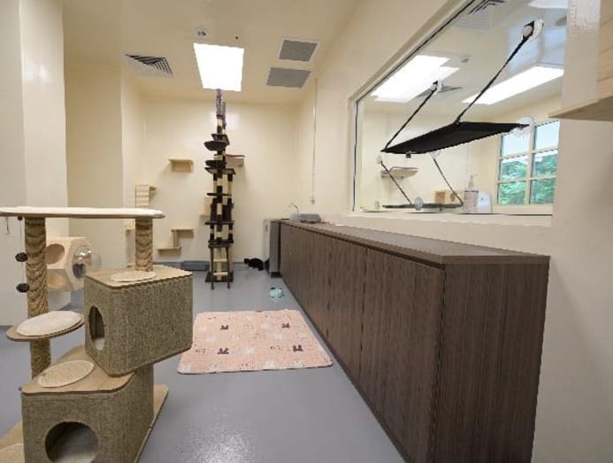 Singapore opens first dedicated facility for animal behavioural ...