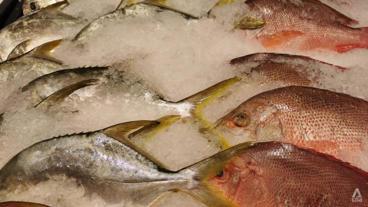 Weather, labour shortage affect fish supply in Malaysia, say industry ...