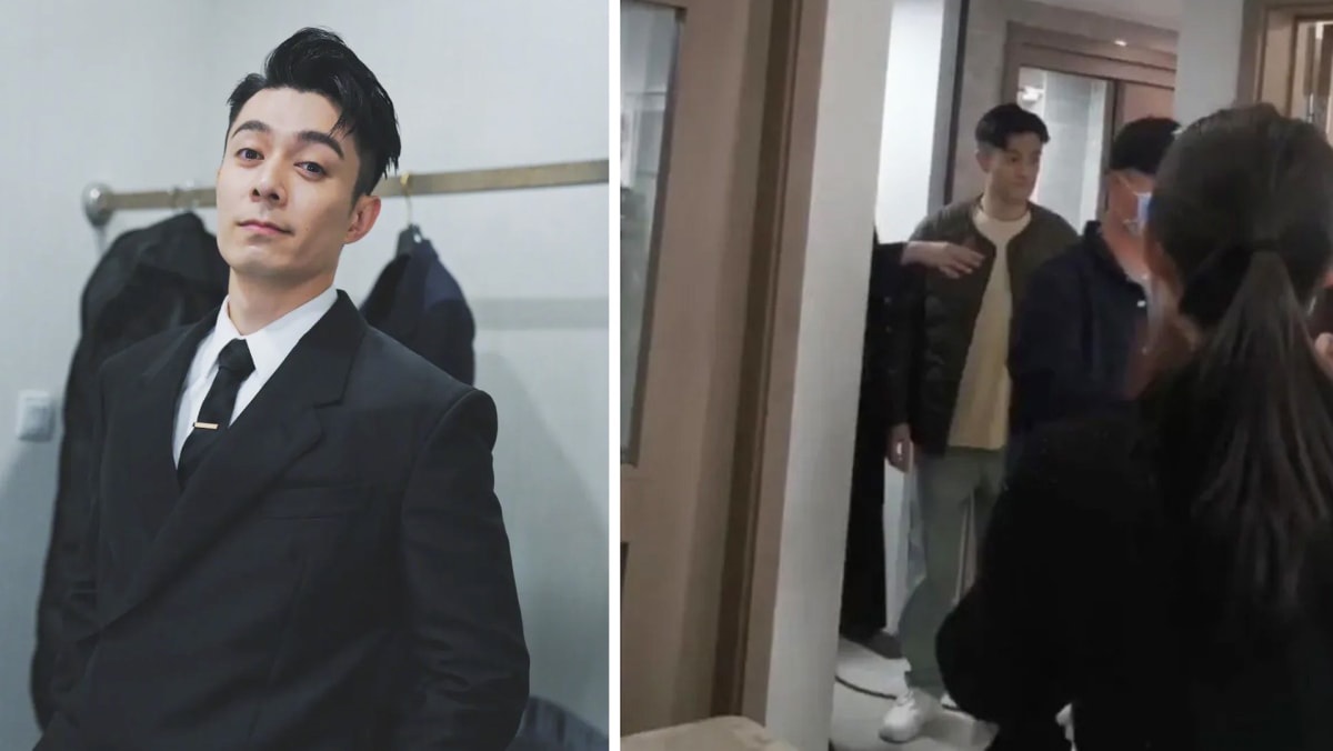 Property Agent Posts Video Of Pakho Chau’s Alleged New Apartment; The ...