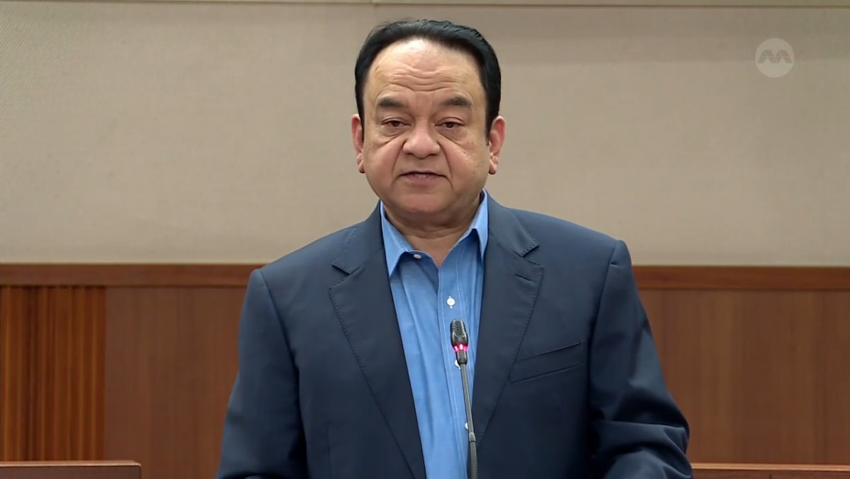 Neil Parekh Nimil Rajnikant on Significant Investments Review Bill - CNA