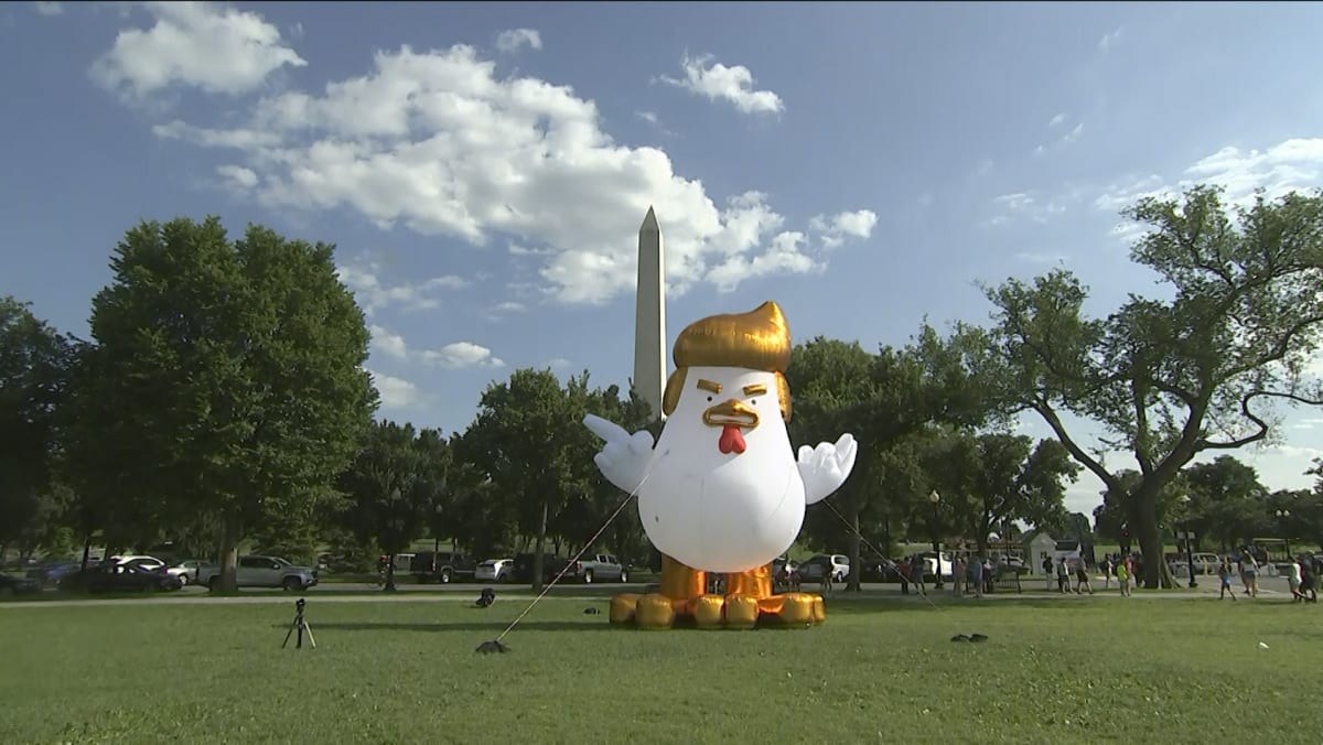 Inflatable Trump chicken takes roost outside White House - TODAY