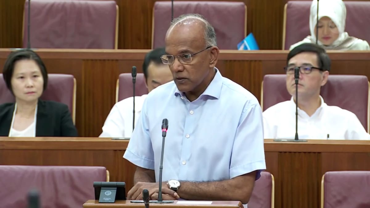 K Shanmugam on Public Defender’s Office cases - CNA