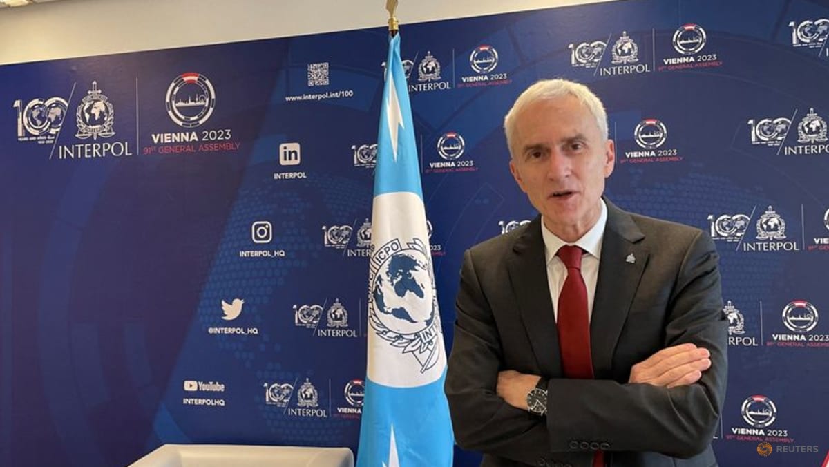 Interpol can't do much more to stop abuse of 'red notices', chief says ...