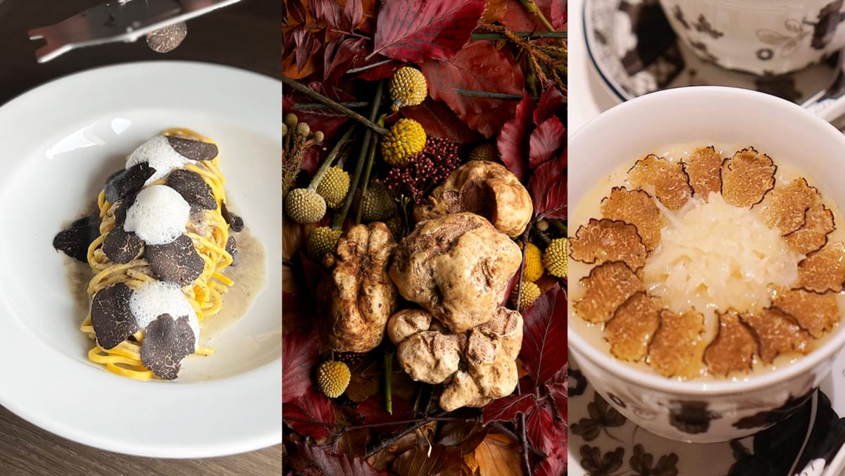 On the hunt for truffles in Italy – and where to find them in Singapore ...