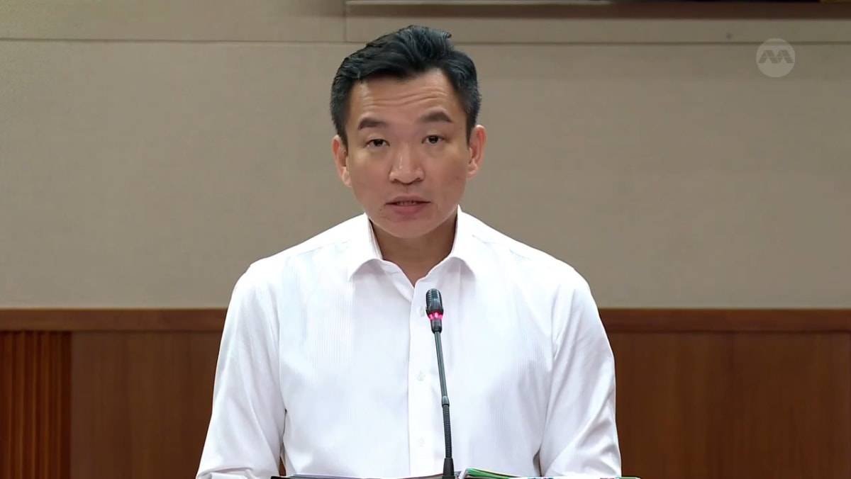 Eric Chua on ensuring proper ComCare payments - CNA