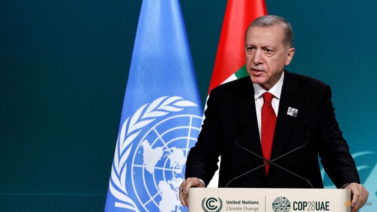 Turkey rejects 'buffer zone' plan for Gaza, Erdogan says - TODAY