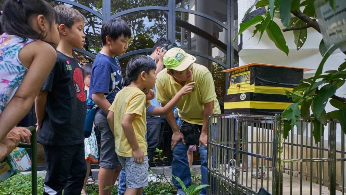 Urban beehive sets Orchard Road abuzz - TODAY
