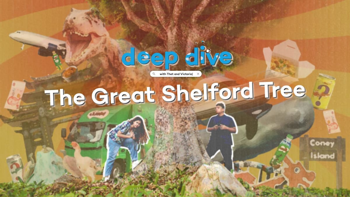 Deep Dive - The Great Shelford Tree - CNA