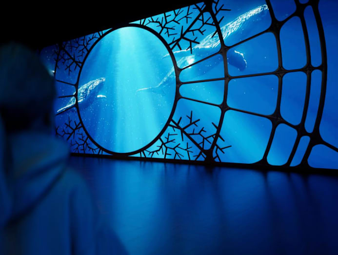 Science Centre Singapore to debut immersive ocean exhibition One Ocean ...