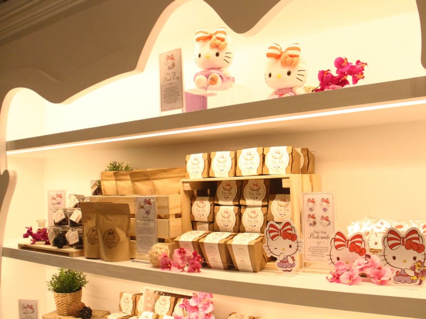 Kult of the Kitty - TODAY