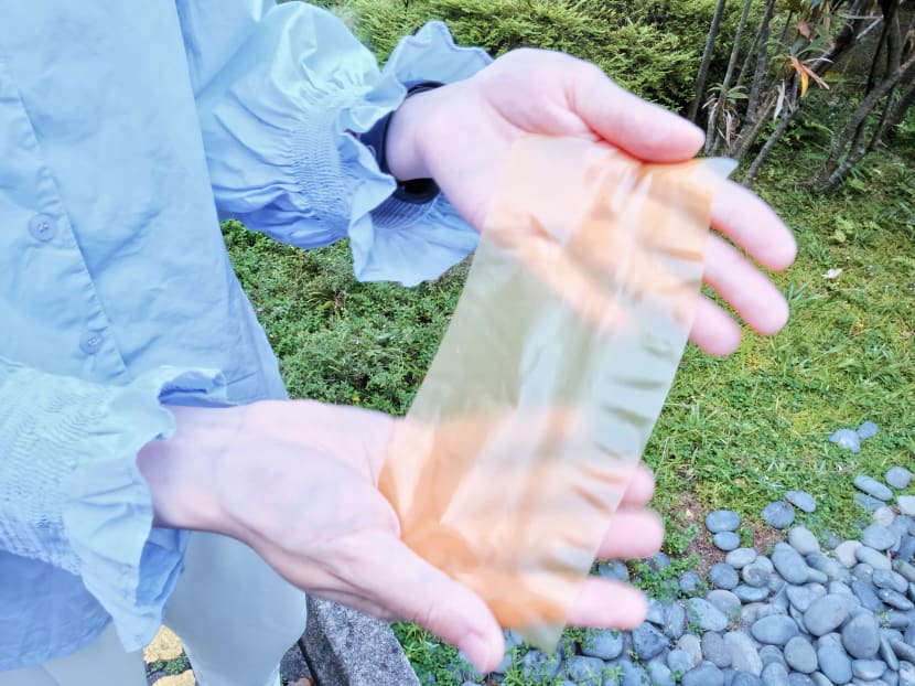 NTU scientists say their eco-friendly reusable pollen-based paper could ...