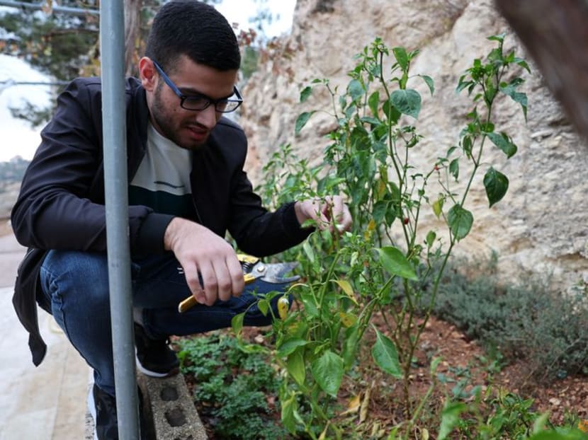 Palestinian detainees report Israeli beatings, mistreatment as West ...