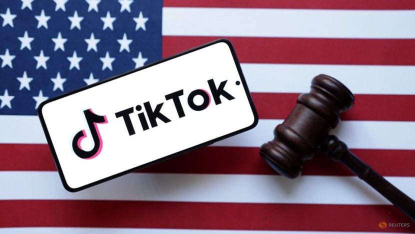 Explainer-What happens after the TikTok ban? - CNA