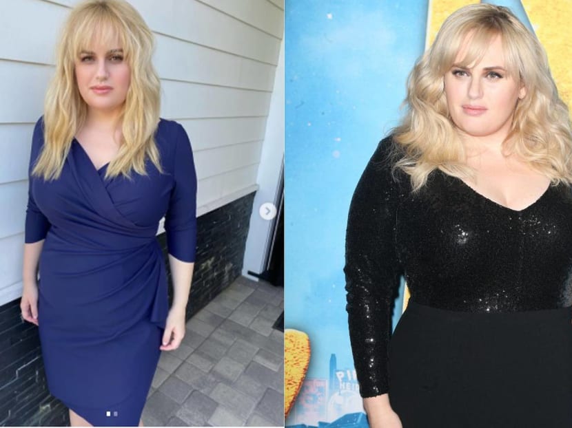 Rebel Wilson Before And After