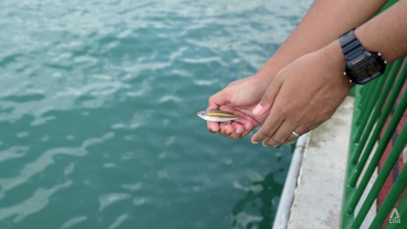 Trying fishing for the first time at Bedok Jetty – and learning how to ...