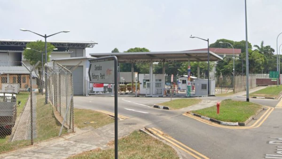 Pelabuhan Perikanan Senoko laksana penghantaran tanpa kontak, elak ...