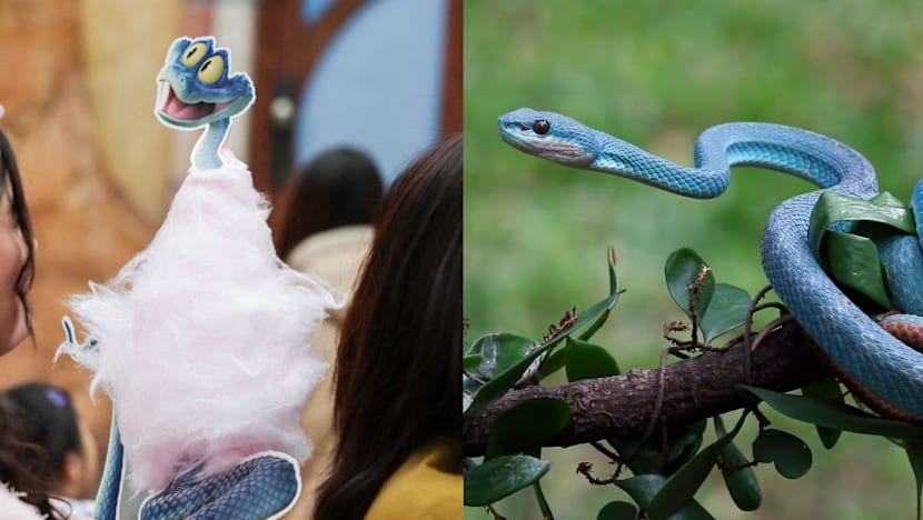 Box office bite: Zootopia 2’s runaway success in China sends fans ...