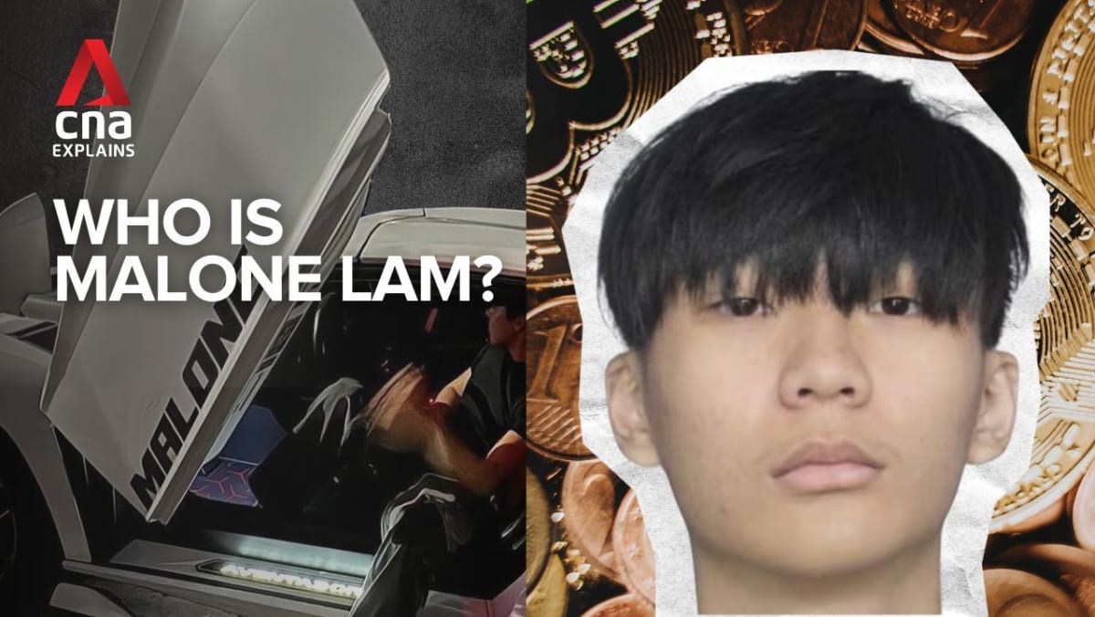 Malone Lam's alleged US$230m crypto scam | CNA Explains - CNA