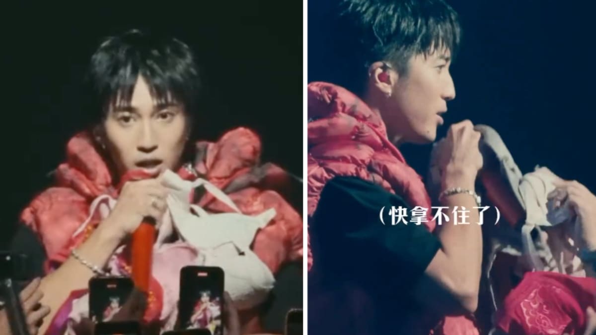 Fans of Taiwanese rapper Shou throw their bras at him at recent gig ...