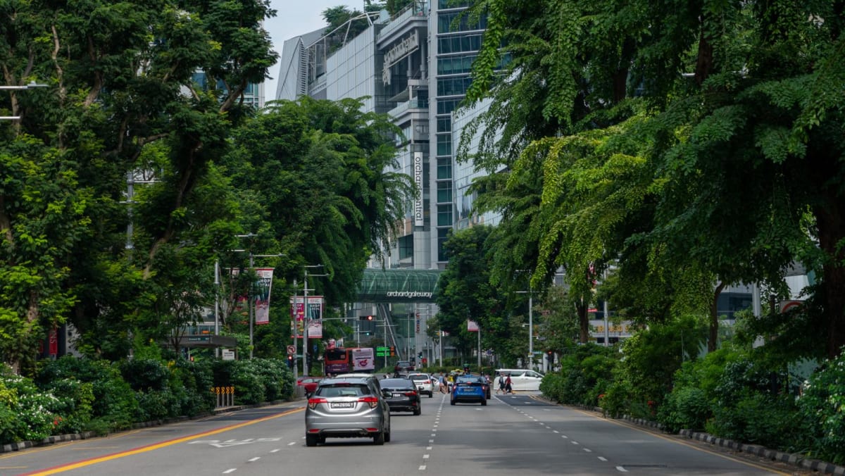 Have COE prices peaked? Here’s what analysts say - CNA
