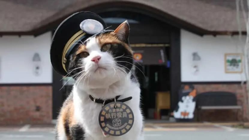 Gambar Pilihan Hari Ini - BERITA Mediacorp