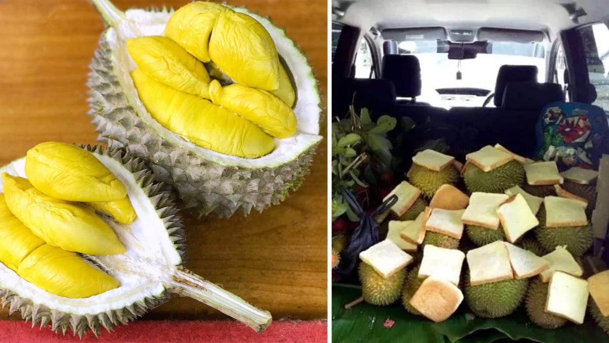 Want to get rid of durian odour from your fridge or car? Bread might ...